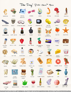 “Dear Diary” Charmie Bag - Pick Your Picto-Charms™ – Haricot Vert