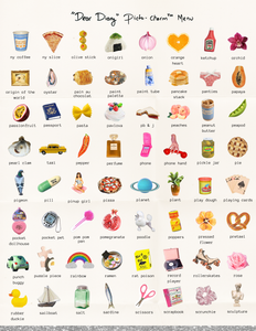 “Dear Diary” Charmie Bag - Pick Your Picto-Charms™ – Haricot Vert